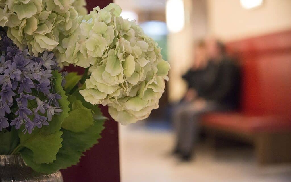 Facharzt für Radiologie Jobs in Düsseldorf, Mönchengladbach & Essen